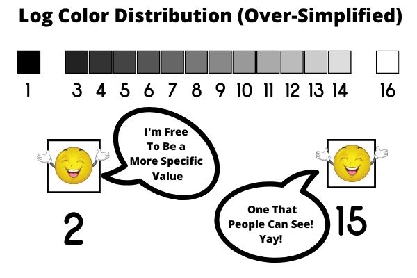 Should You Film in Log? A Layman’s Guide to Color Profiles